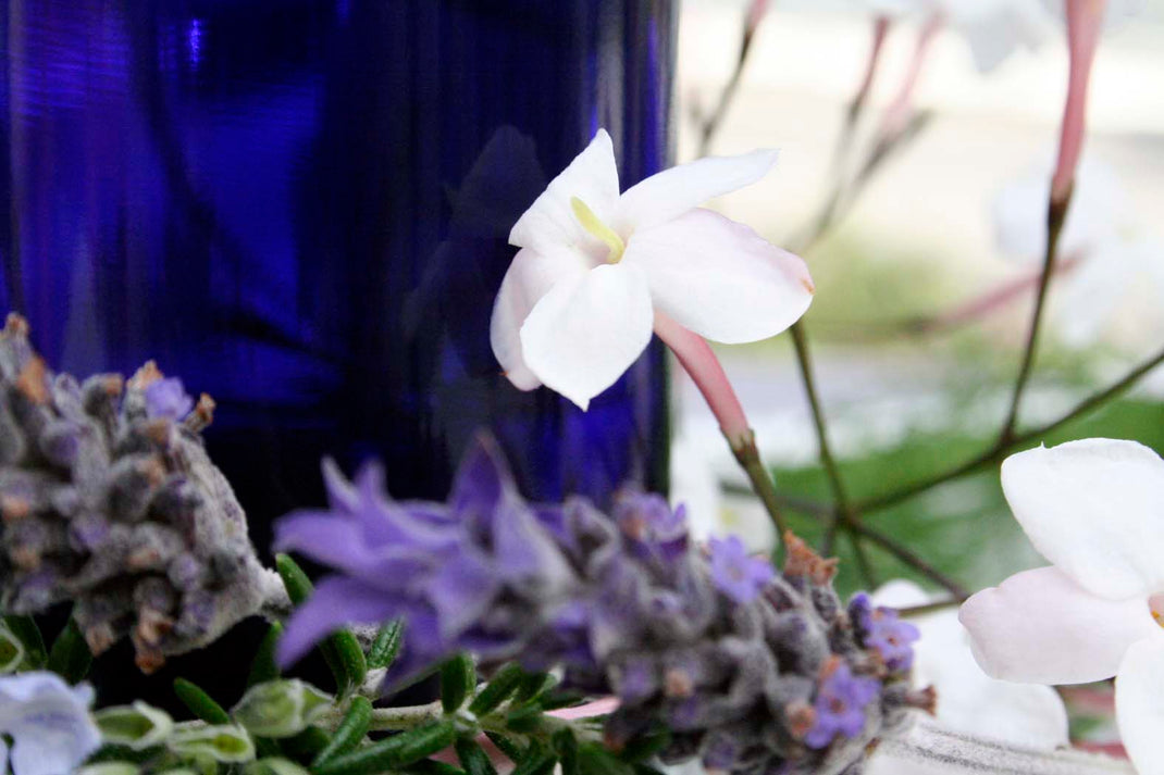 AromaScience Training