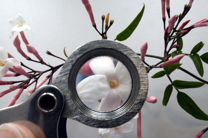 Certificate in Aroma Science (Micro-credential) (Level 4) – AromaScience Training