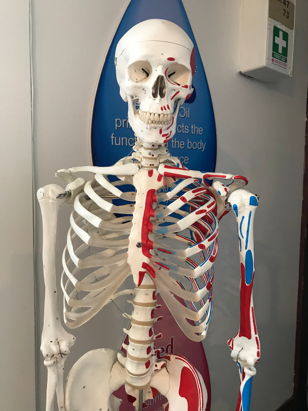 AromaScience Training